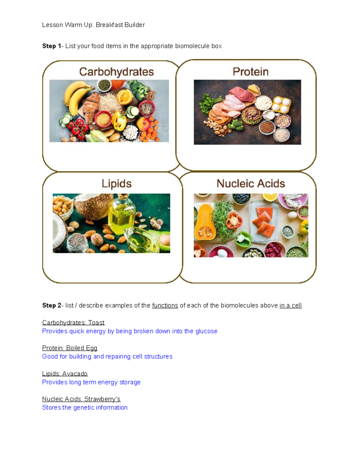 Biomolecules and Their Functions: Breakfast Builder Activity - BIOL ...