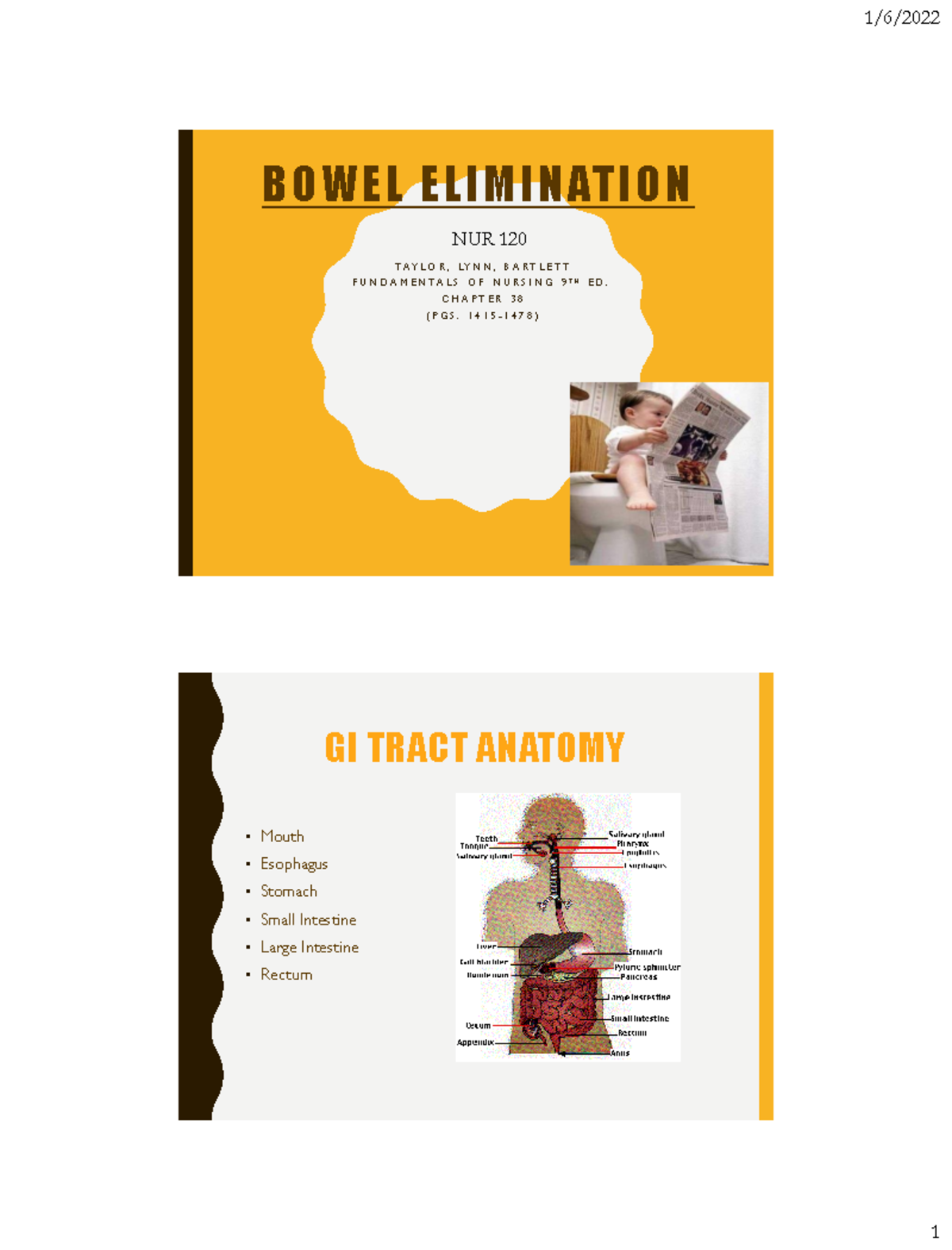 Week 7 - Bowel Elimination and Gastrointestinal Anatomy (NUR 120) - Studocu