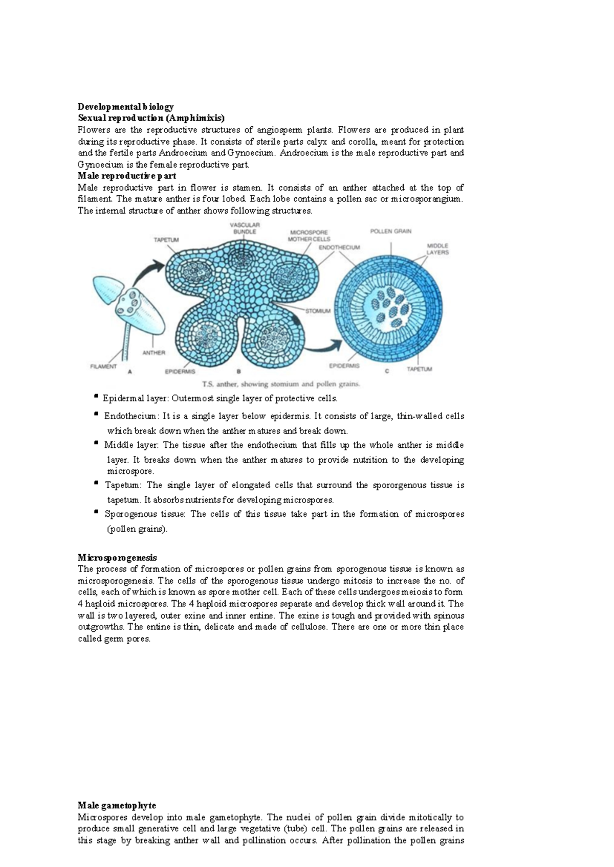 This is the note - Developmental biology Sexual reproduction ...