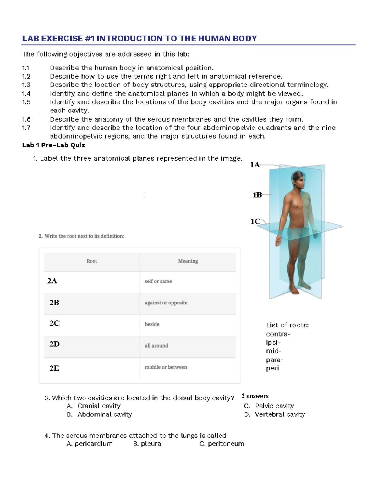 Lab Exercise #1 - Introduction to the Human Body Concepts - Studocu