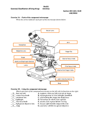 Bio 1101 Lab Quiz 4 - Lab quiz 4 - Bio 1101 Lab Quiz 4 Which molecule make up the basic ...