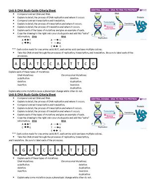 Genetic Mutations Worksheet: Gene & Chromosome Mutations Analysis - Studocu