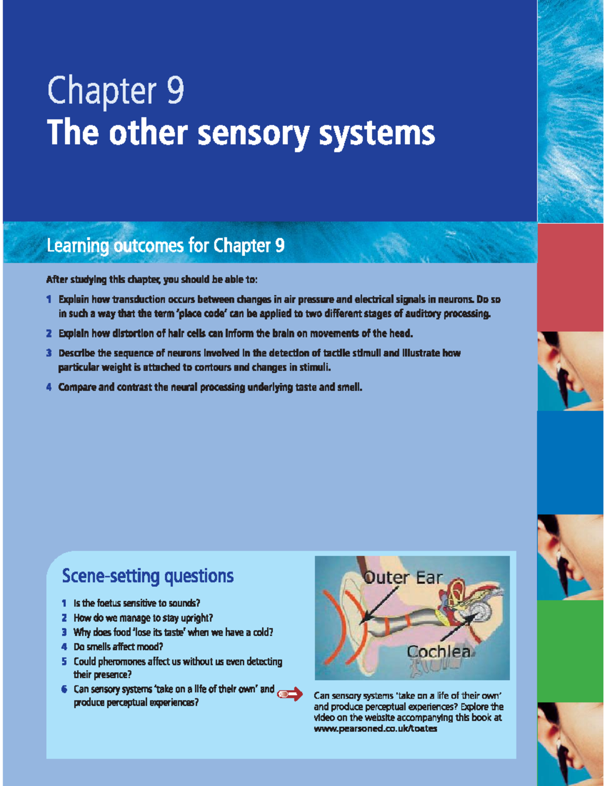 Exploring the Other Sensory Systems: A Comprehensive Guide - Studocu