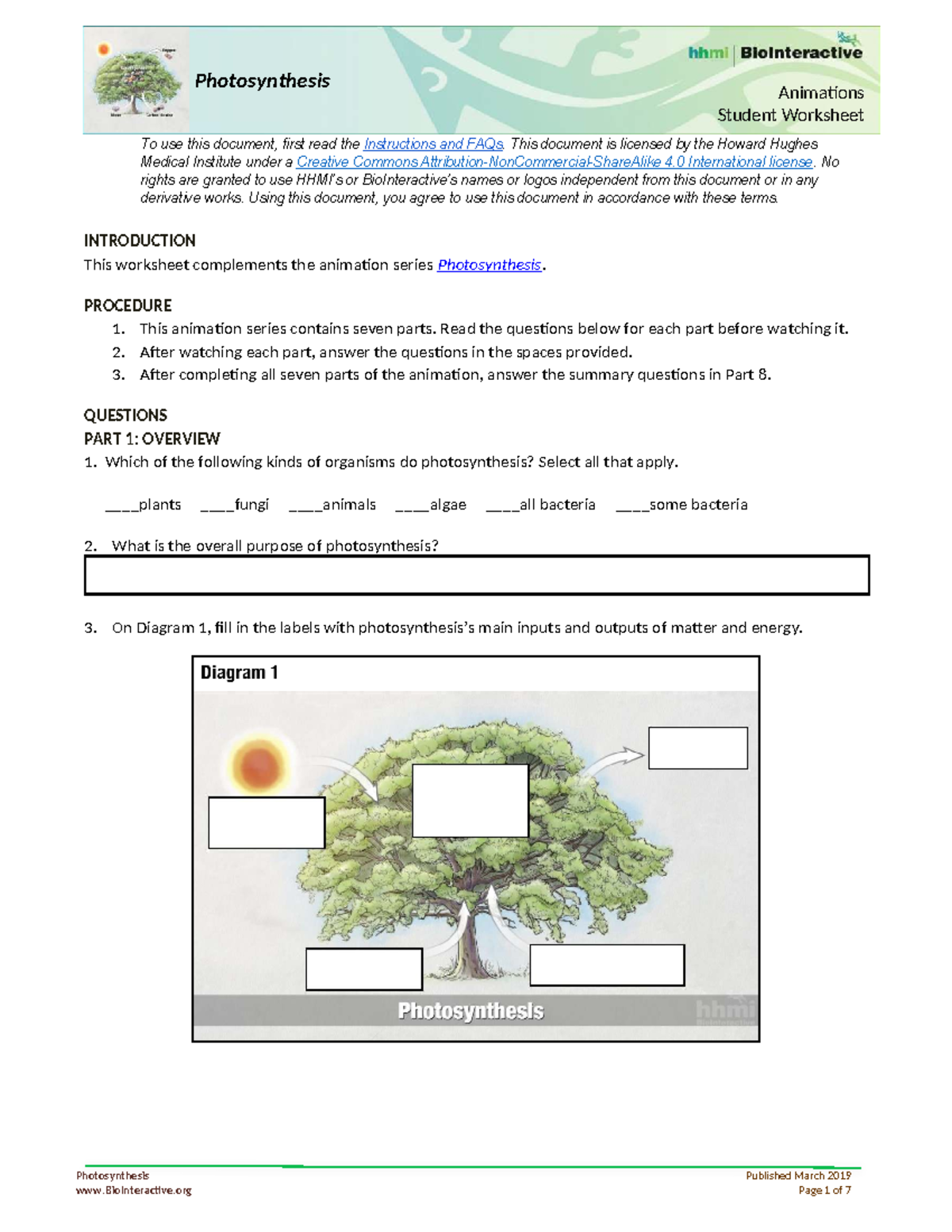 Photosynthesis Animations Student Worksheet (Final Exam) - Studocu