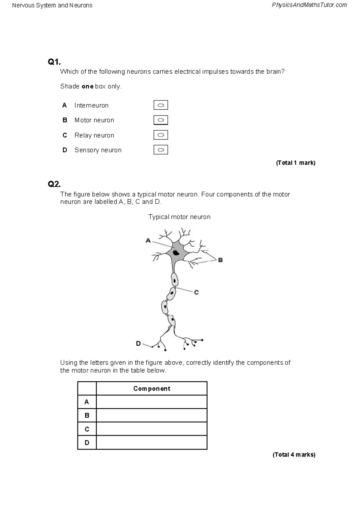 Nervous System and Neurons QP - Quiz Questions and Answers - Studocu