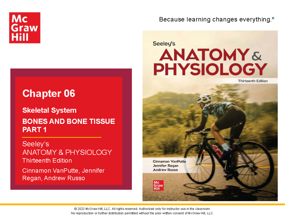 Chapter 06: Skeletal System - Bones & Bone Tissue Overview (ANAT 101) - Studocu