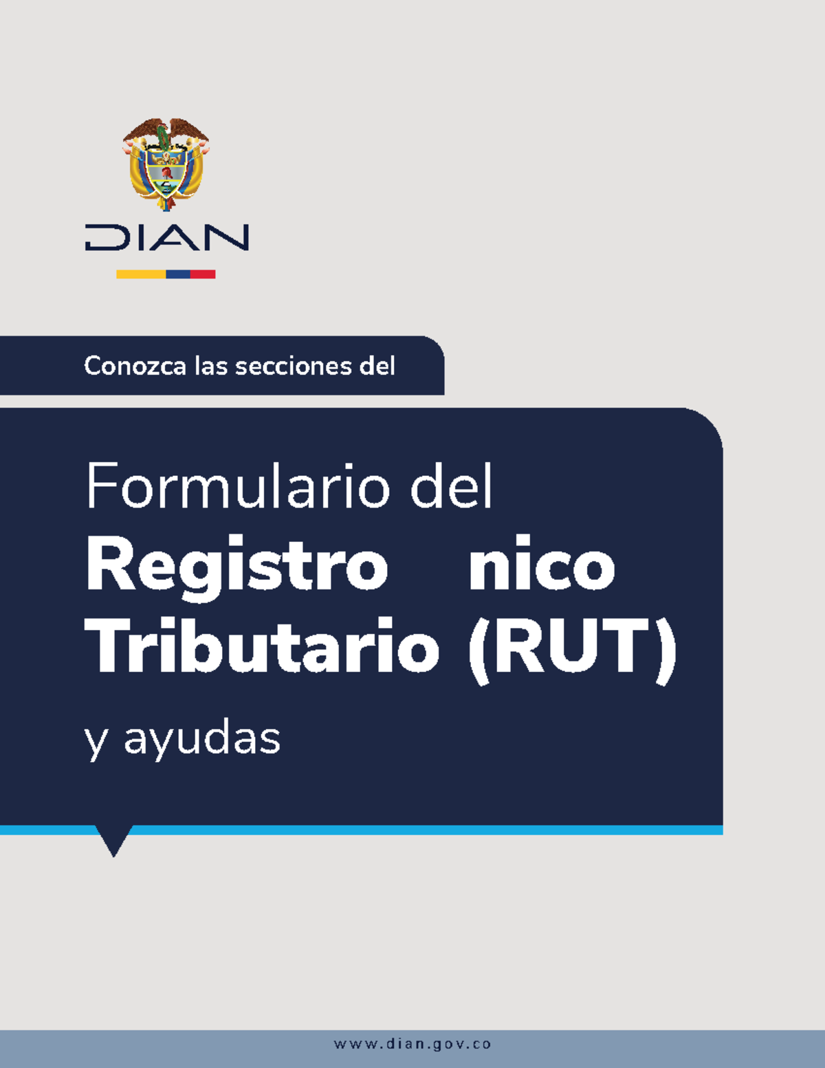 Secciones del Registro Único Tributario (RUT) - Práctica y Ayudas - Studocu