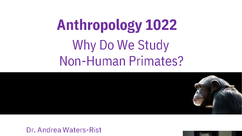 Understanding Primates: Diversity, Taxonomy, and Evolution (ANTH 1022 ...