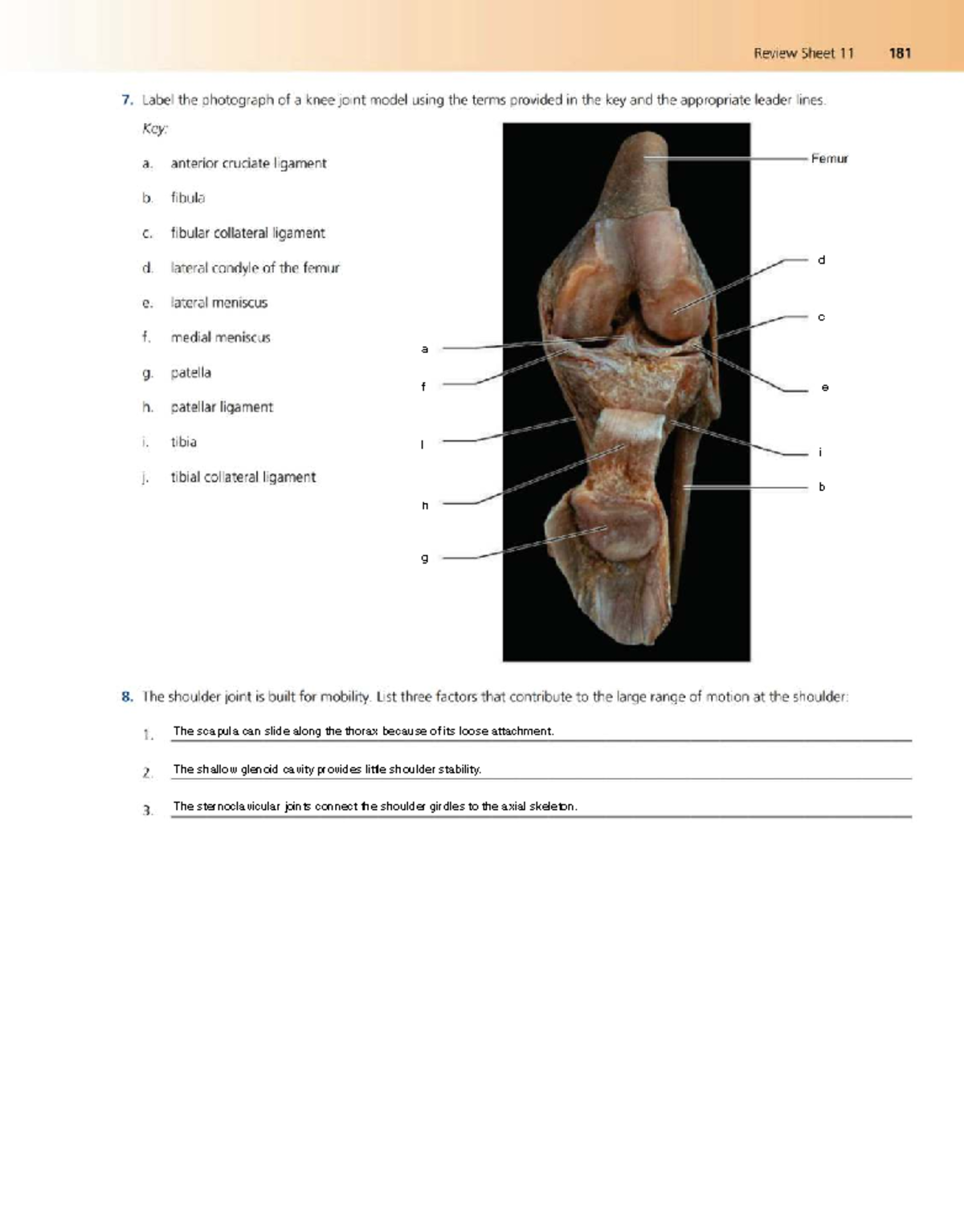 Review Sheet 11 Pt. 3 - stuff - CHEM 1031 - Studocu