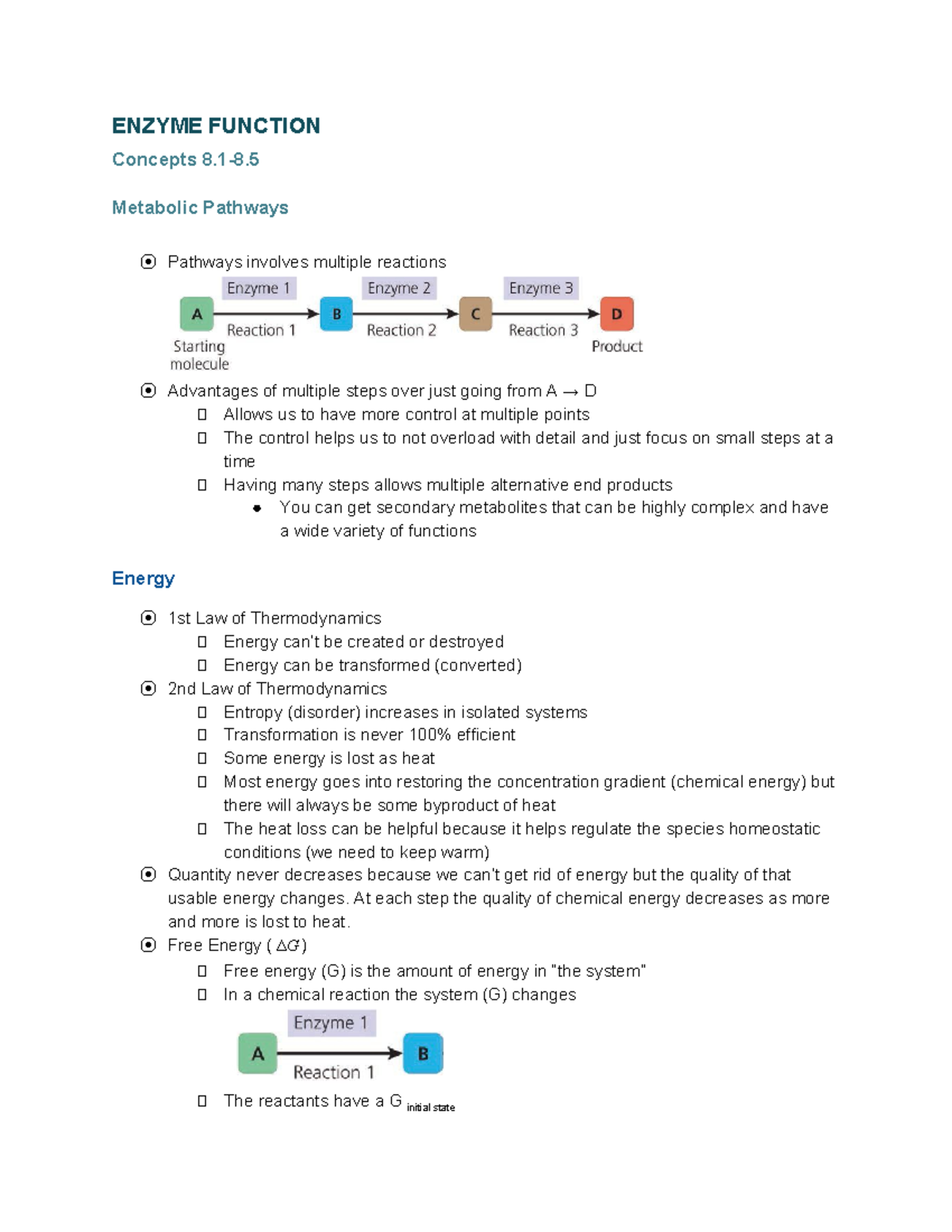 Unit 5 Lecture Notes: Enzyme Function and Metabolic Pathways - Studocu