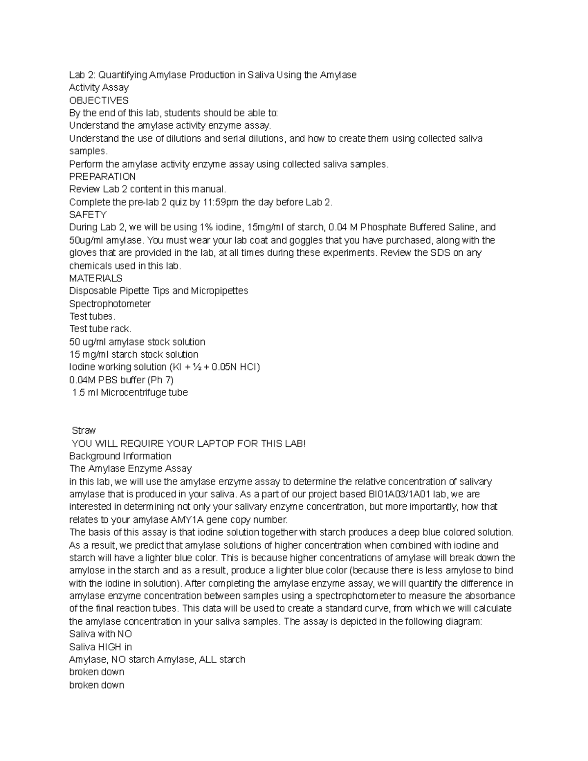 Lab 2: Amylase Activity Assay in Saliva - Quantification Techniques ...