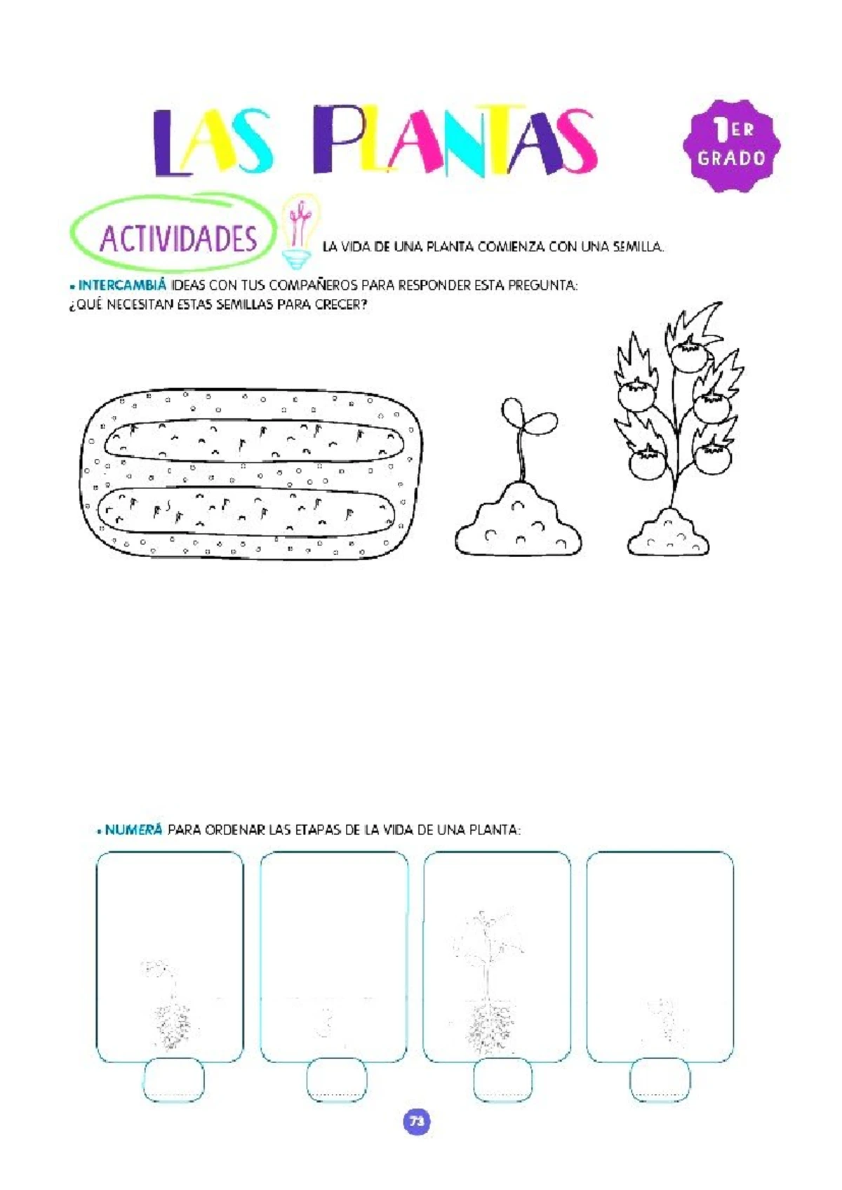 LAS Plantas Anexo - ANEXO LAS PLANTAS Una planta es un ser vivo que ...