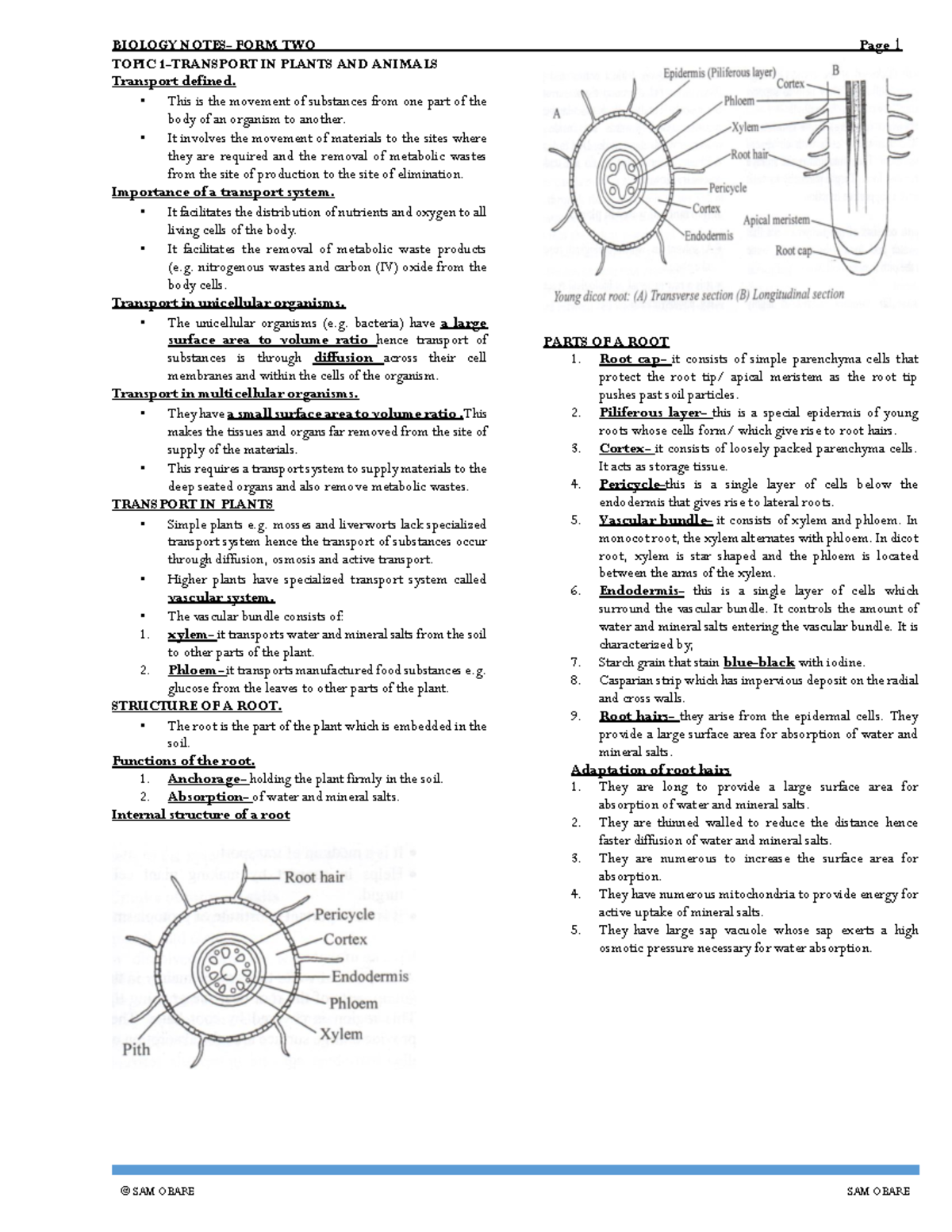 BIO 101 Lecture Notes: Transport in Plants and Animals - Studocu