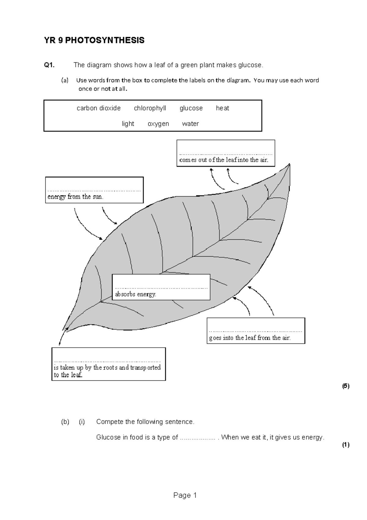 YR 9 Photosynthesis Questions & Answers - Foundation Level Study - Studocu