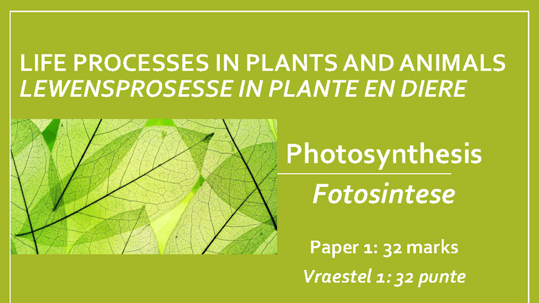 LIFE PROCESSES IN PLANTS AND ANIMALS: PHOTOSYNTHESIS NOTES - Studocu