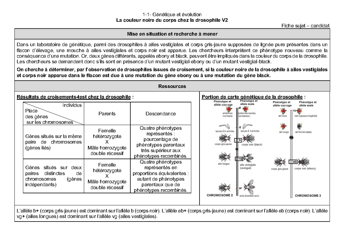 Svt travaux pratique - 1 - 1 - Génétique et évolution La couleur noire ...