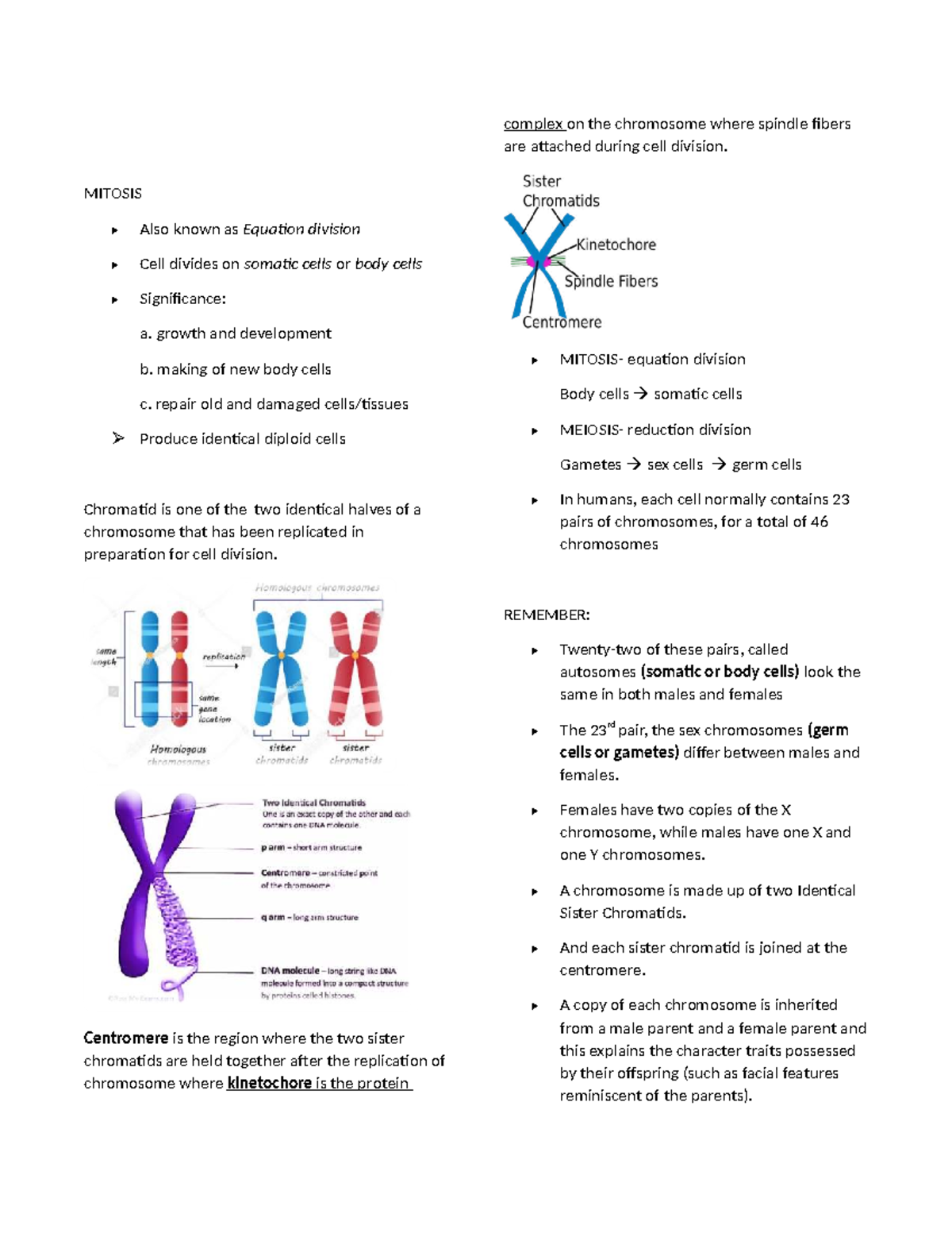 Biology Meiosis Reviewer: Understanding Cell Division and Chromosome ...