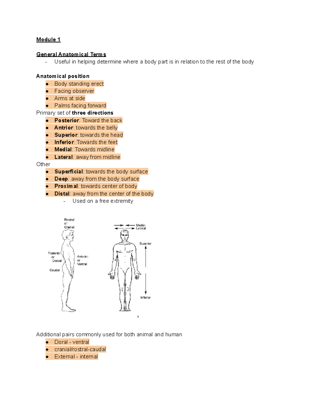 Module 1: General Anatomical Terms and Tissue Types - Studocu