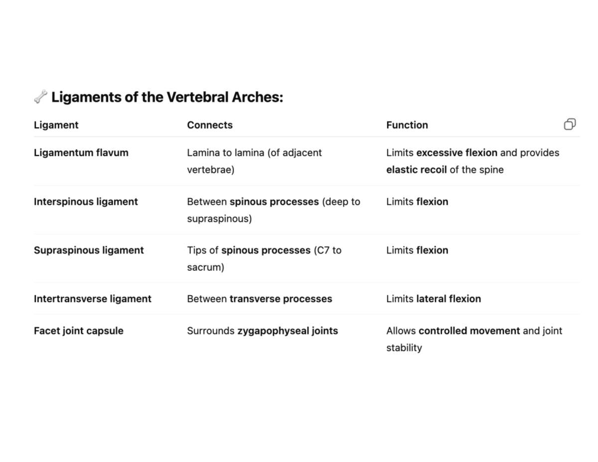 Vertebral Arches Ligaments: Functions & Connections - Anatomy Study ...