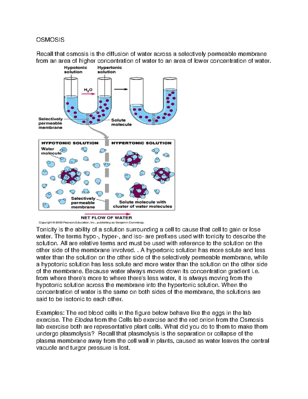 Osmosis and Tonicity in Biological Systems - Bio 101 Notes - Studocu