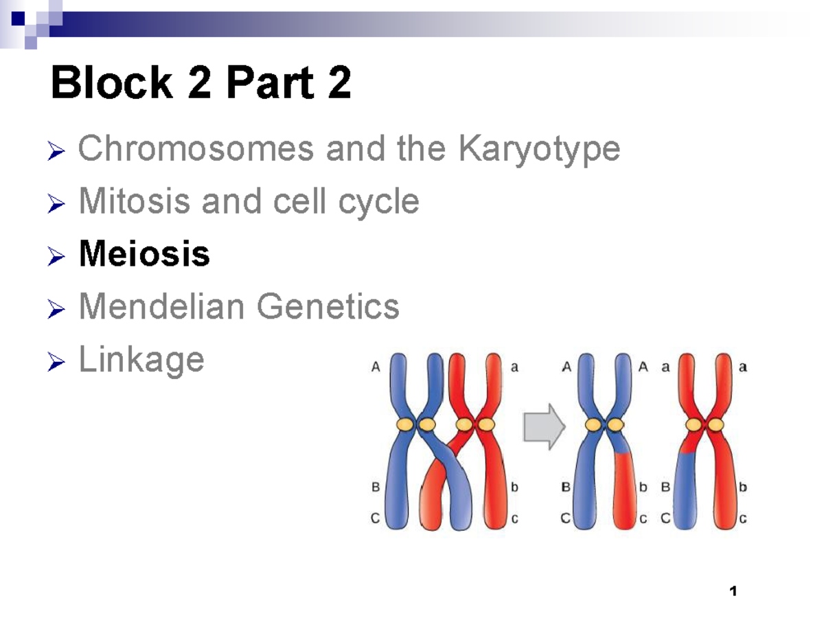 Chromosomal Abnormalities and Genetic Disorders: ILS Overview ...