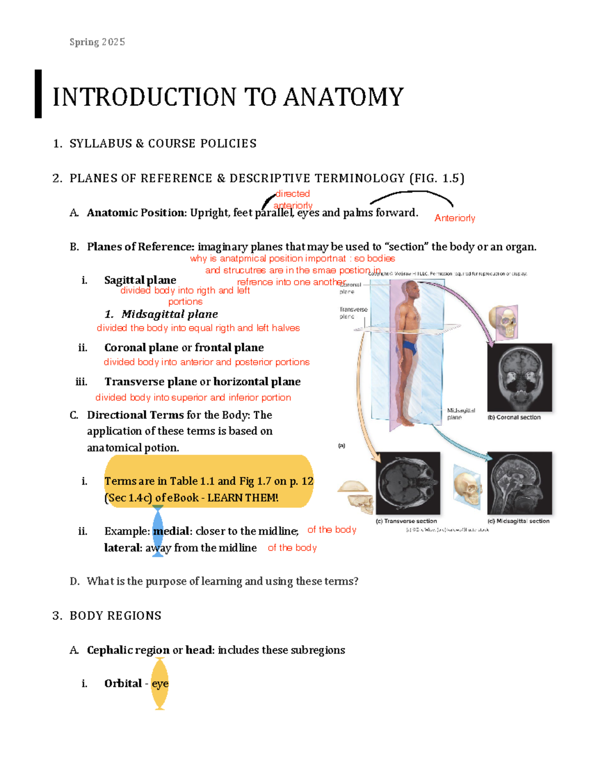 Introduction to Anatomy (BIO 101): Syllabus & Body Regions Overview ...
