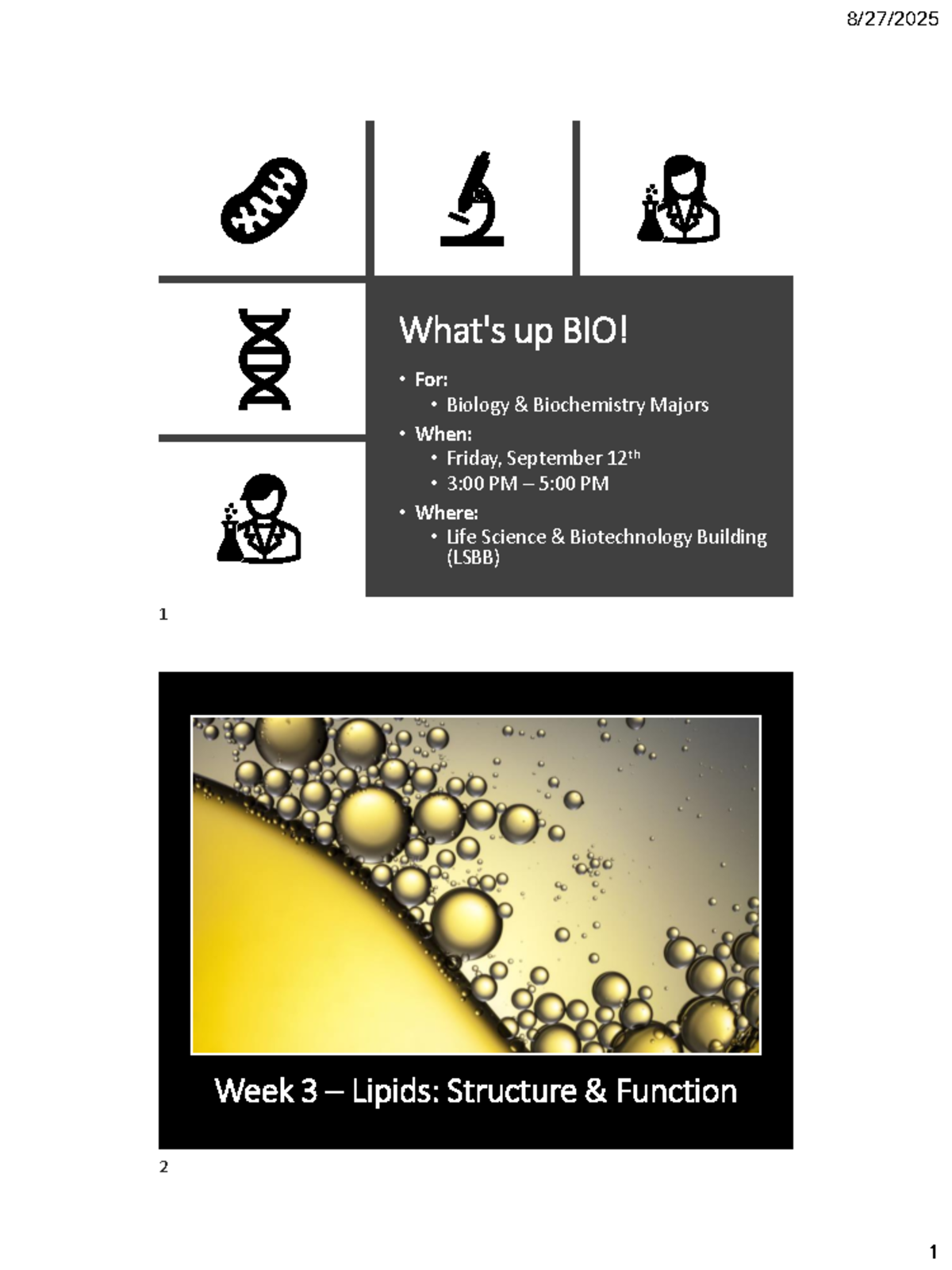 Biological Macromolecules: Lipids & Proteins Overview (BIO 101, Week 3 ...
