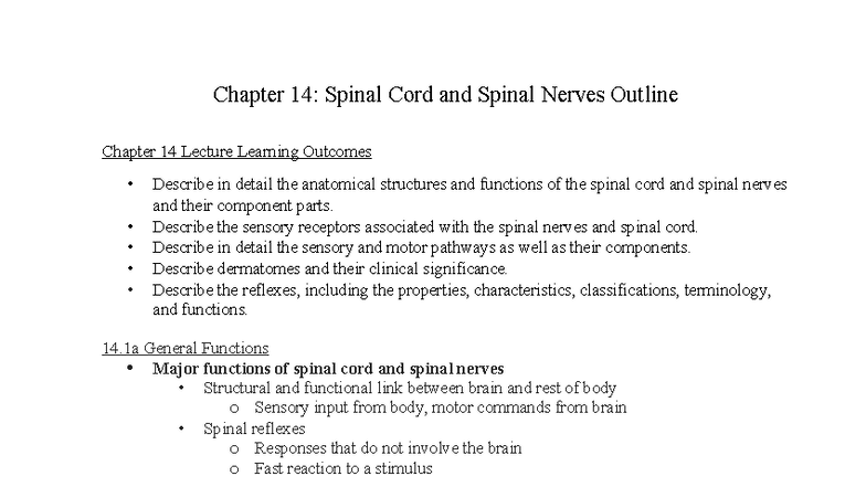 Chapter 14 Lecture Notes: Spinal Cord & Nerves Overview (BIO 101) - Studocu