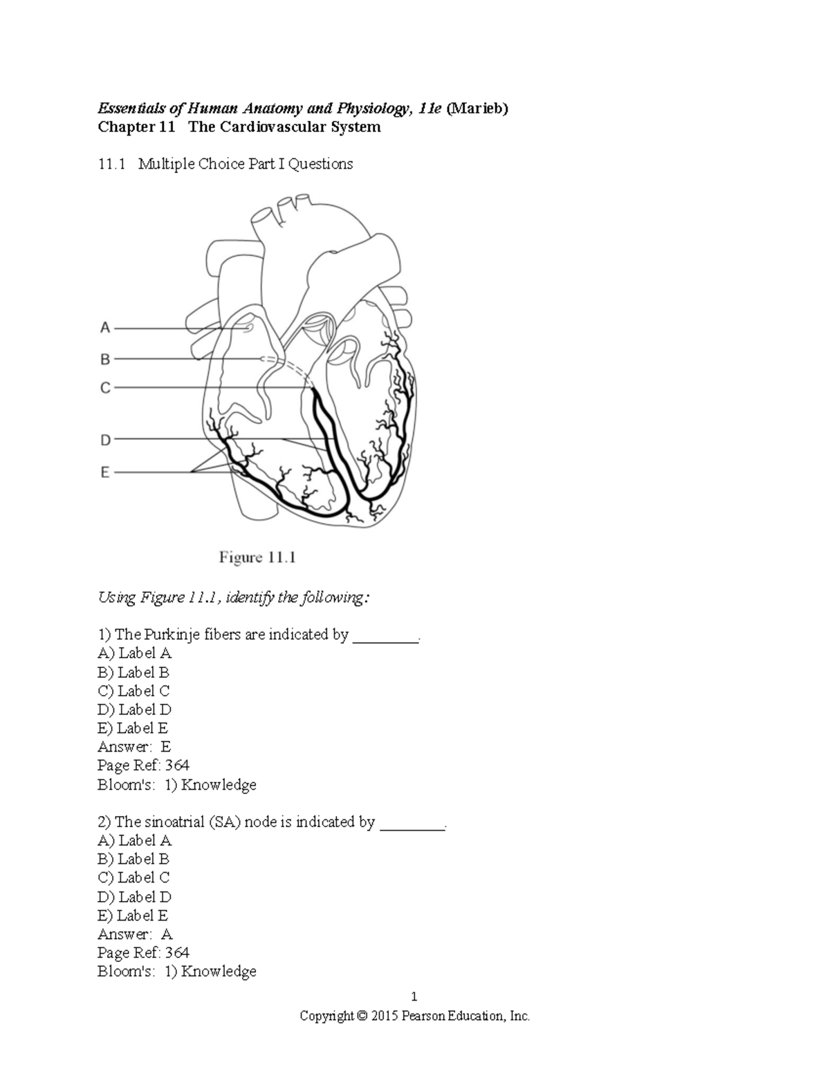 Chapter 11 - Cardiovascular System - 1 Essentials of Human Anatomy and ...