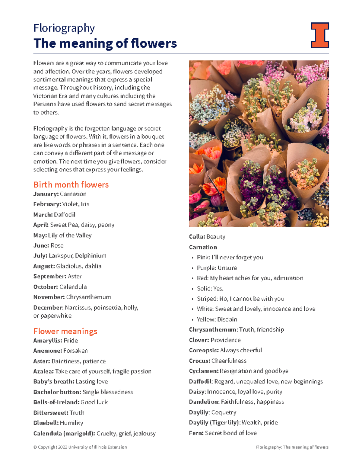 Floriography (Flower Language) Test: Meanings & Birth Month Flowers ...
