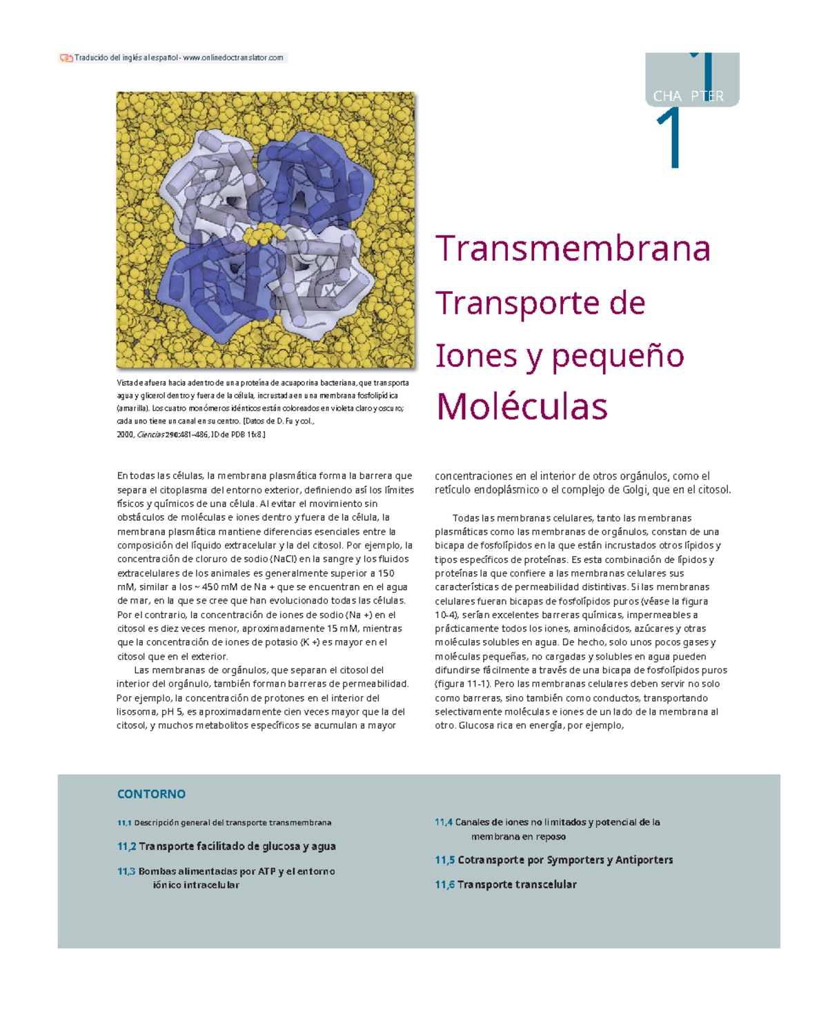 Transporte Transmembrana y Permeabilidad Celular - BIO 1 - Studocu