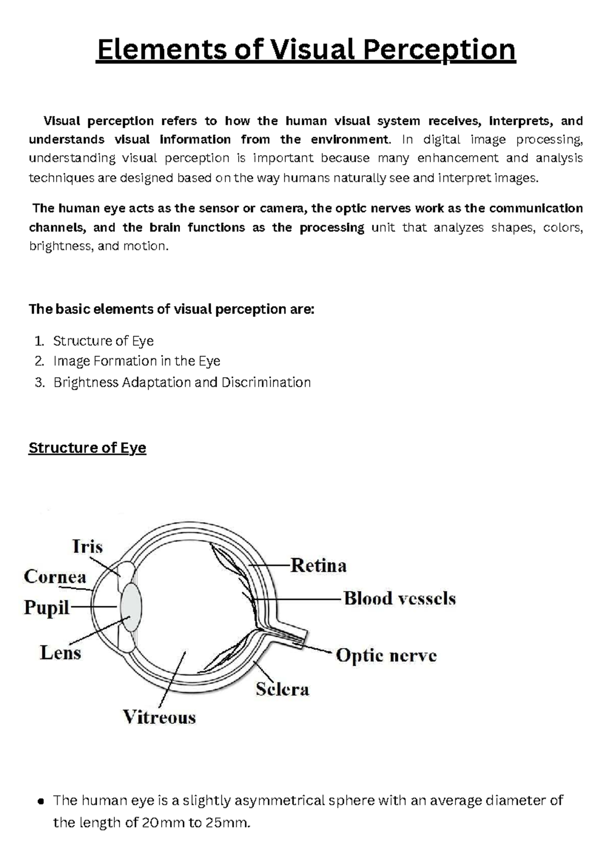 Elements of Visual Perception: Understanding the Human Eye - Studocu