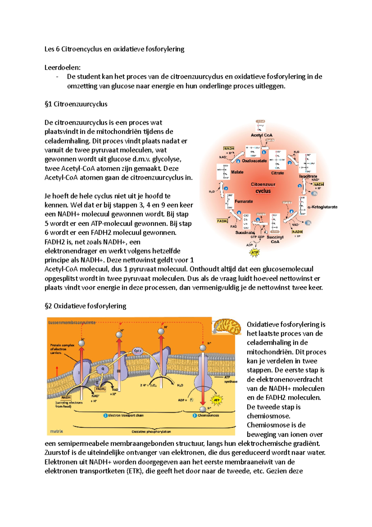 Fosforcyclusdiagram En Uitleg