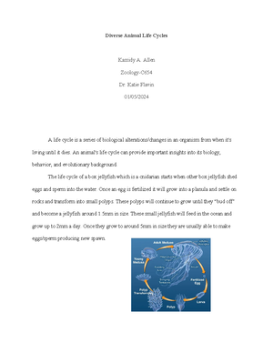 [Solved] Discuss the history of Stark II including its impact on the ...