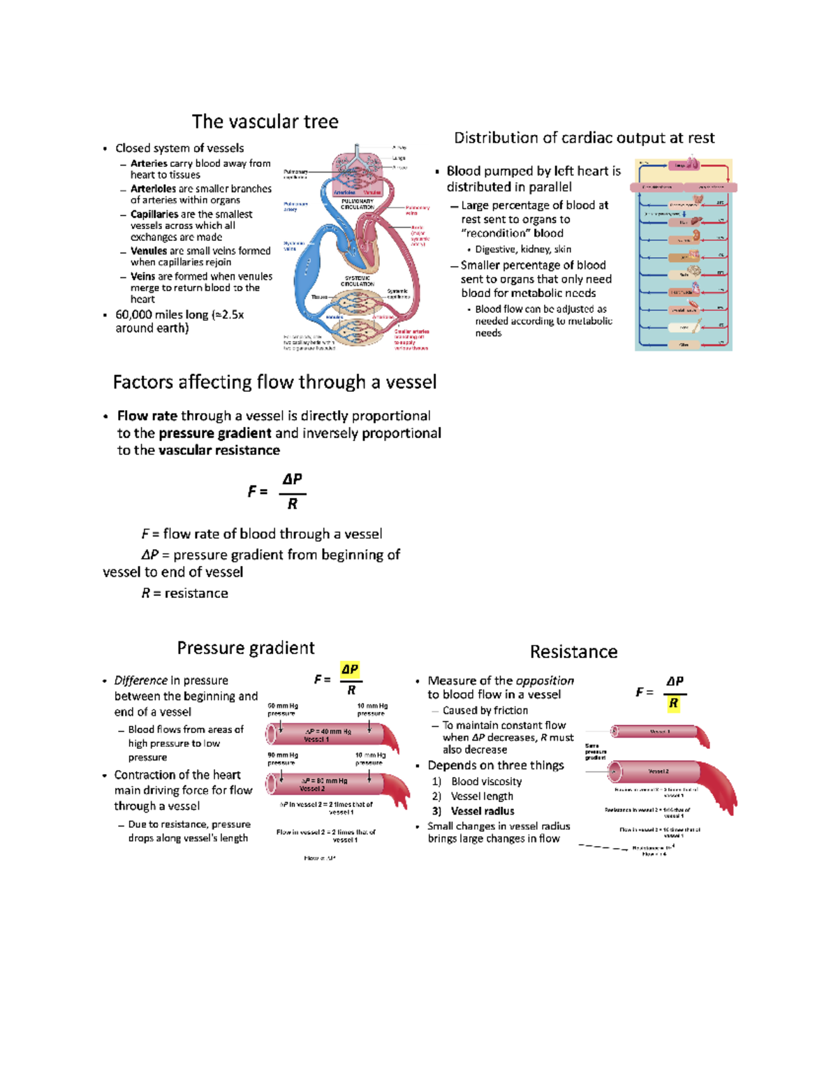 Chapter 10- Blood Vessels and Blood Pressure - The vascular tree ...