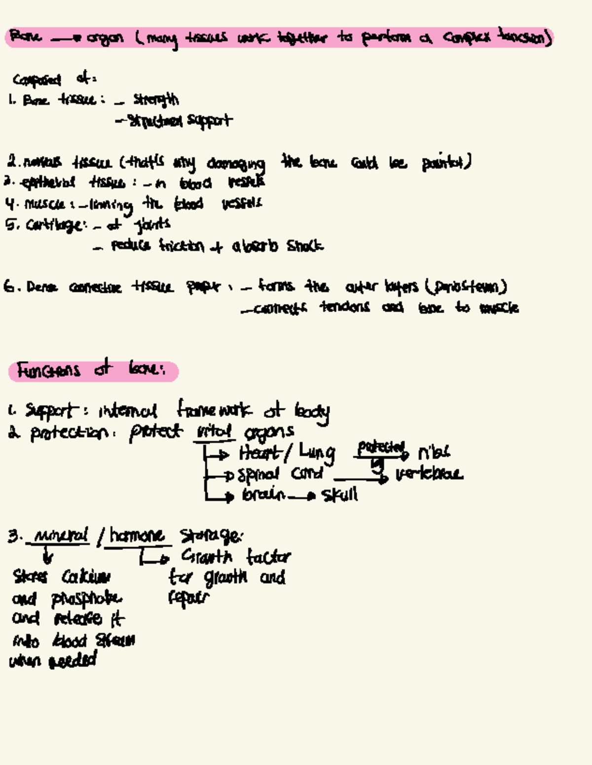 Skeletal Notes: Structure, Function, and Classification of Bones - Studocu