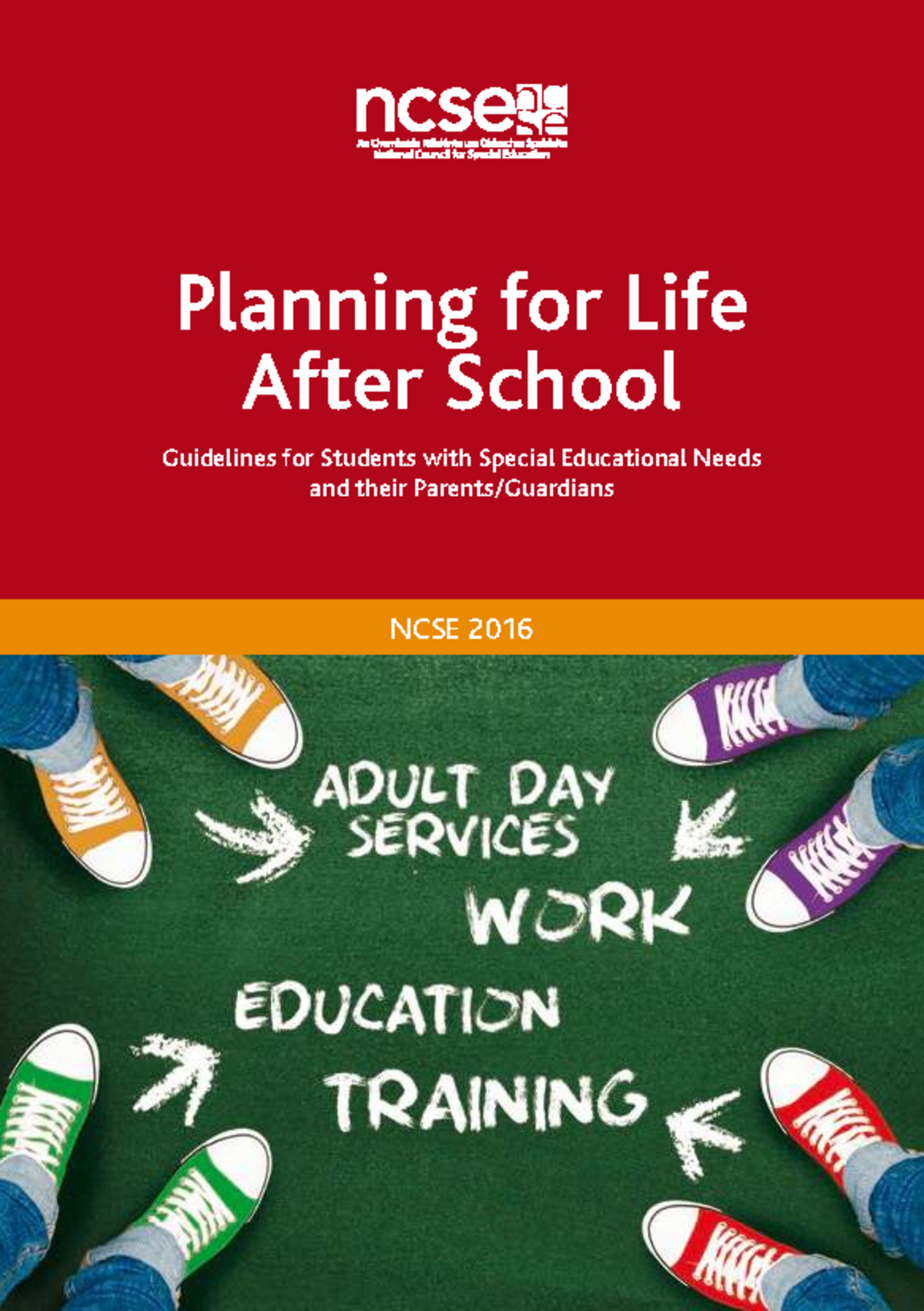 4 NCSE 2016 Life After School final web 27 - Planning for Life After ...