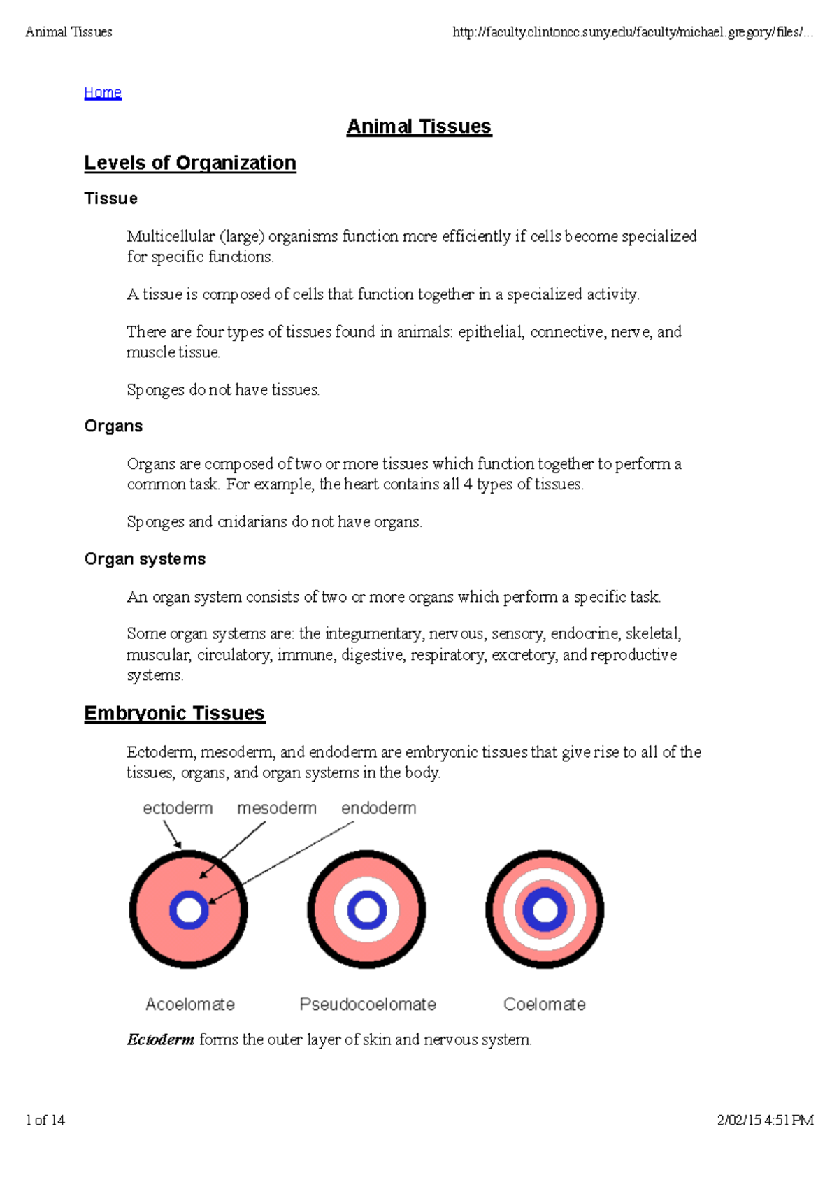 Animal Tissues: Structure, Function, and Organization in Multicellular ...