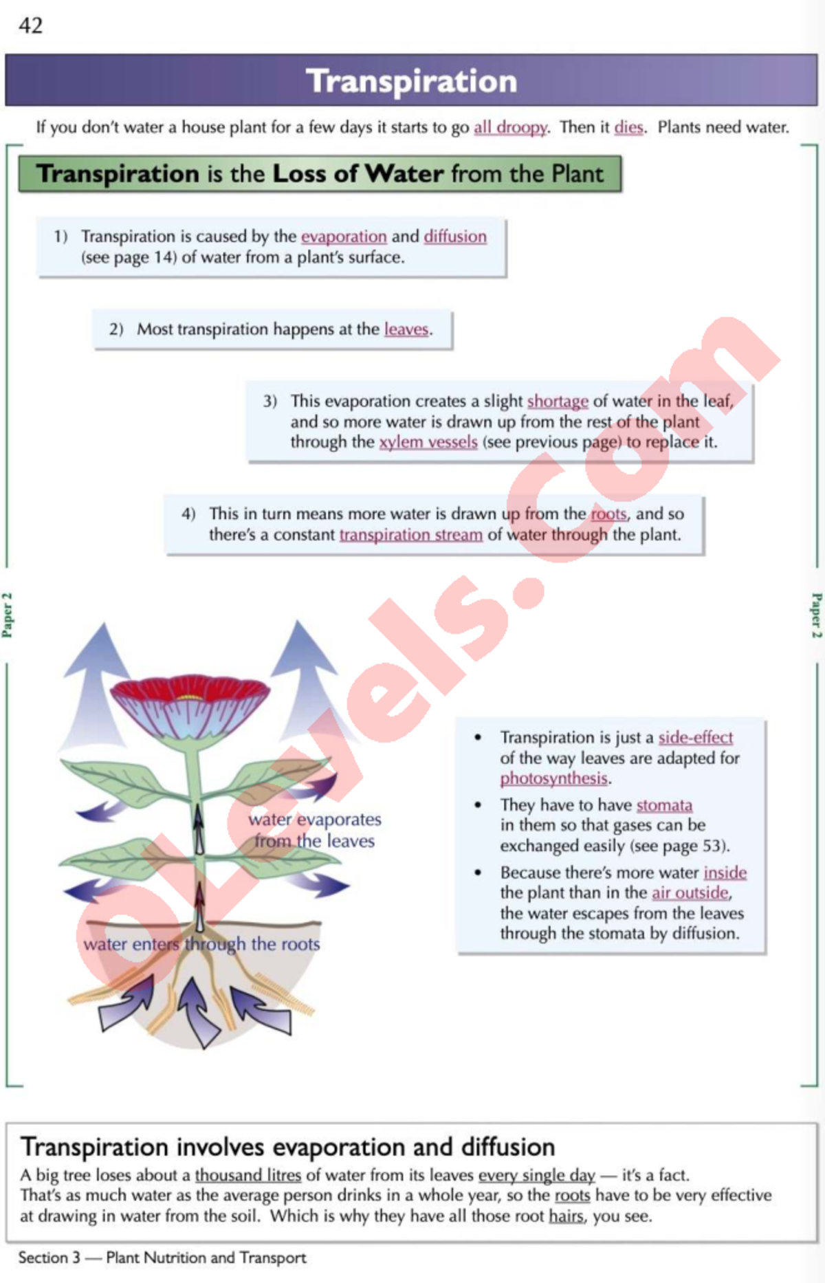 Biology 42: Paper 2 - Plant Nutrition & Transpiration Notes - Studocu