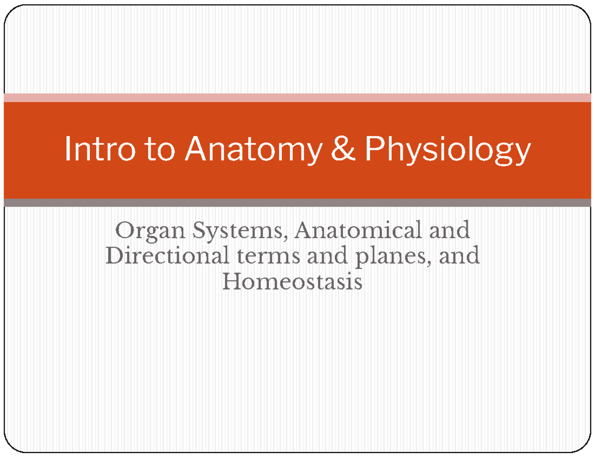 Anatomy & Physiology 101: Overview of Organ Systems & Homeostasis - Studocu