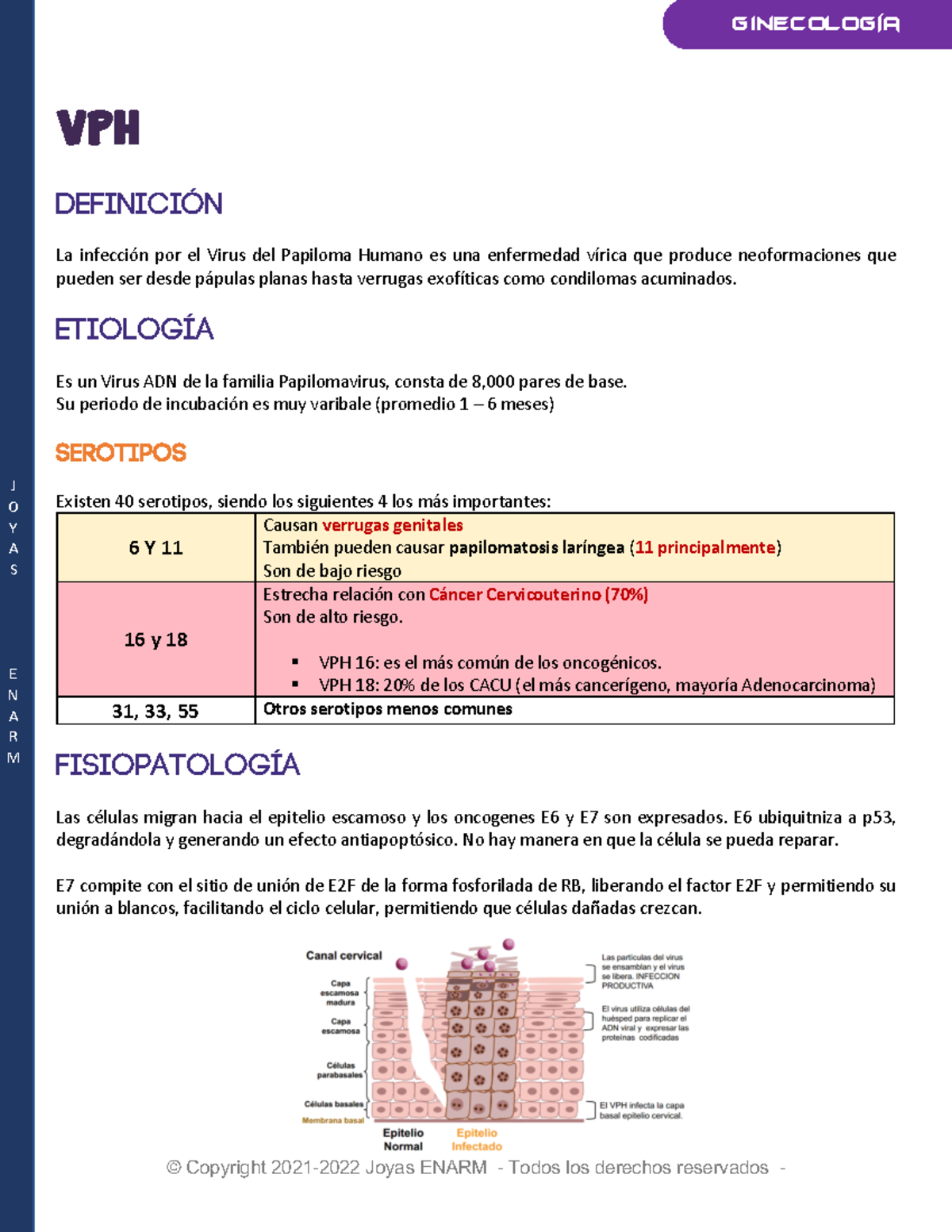 14. VPH - Infección por Virus del Papiloma Humano y su Manejo - Studocu