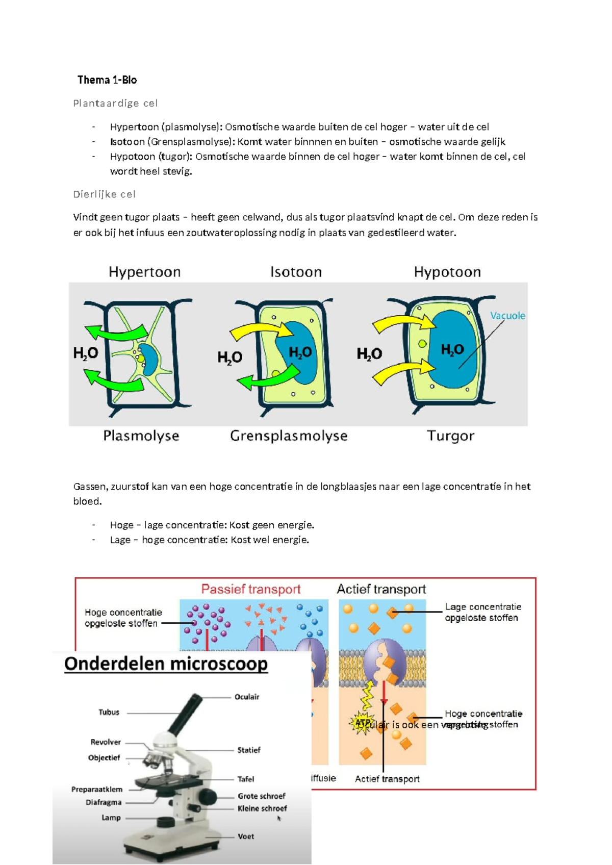 Thema 1-Bio: Celstructuur en Osmose in Plantaardige en Dierlijke Cellen ...