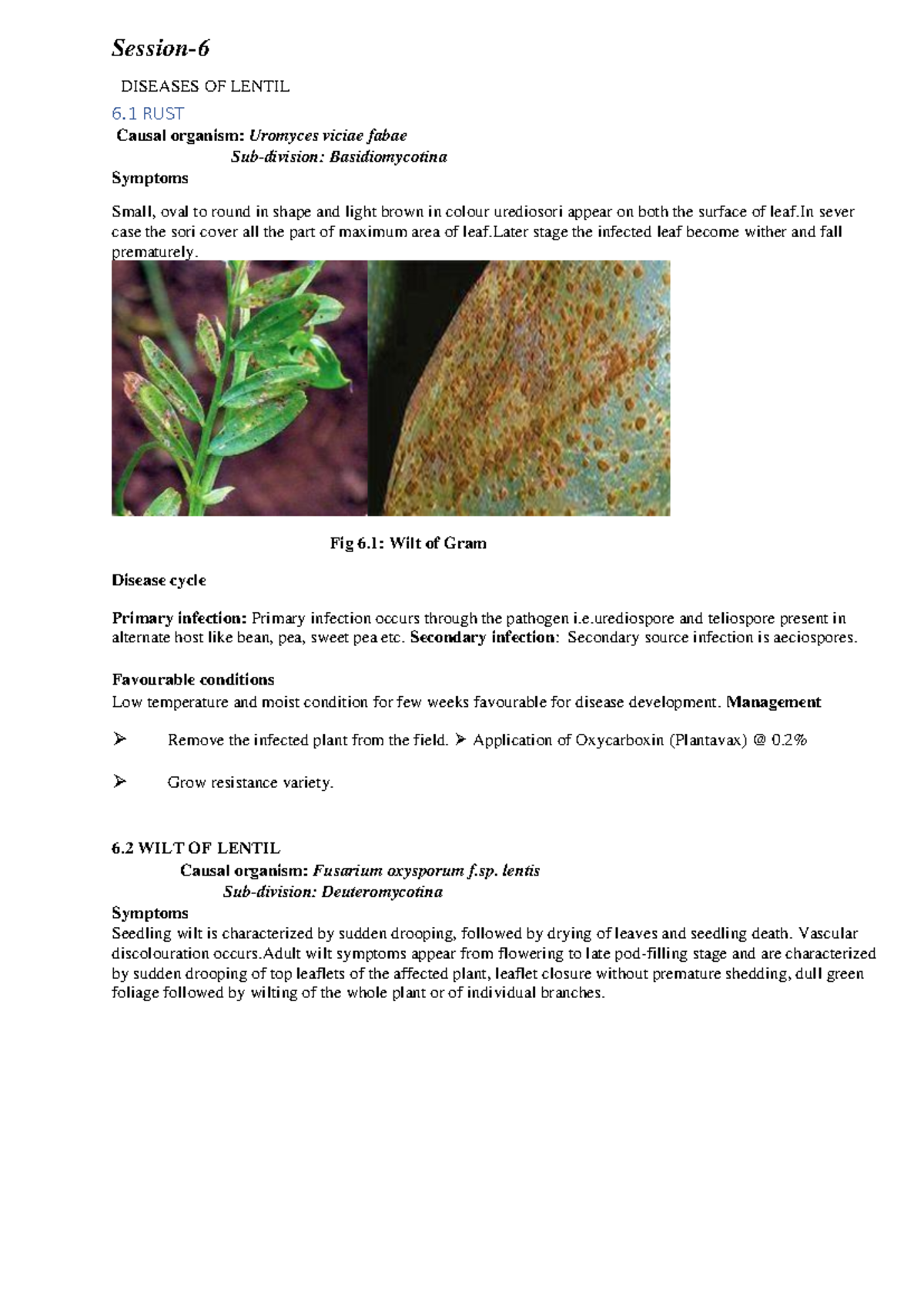 Diseases of Lentil and Cotton: Management Strategies and Symptoms - Studocu