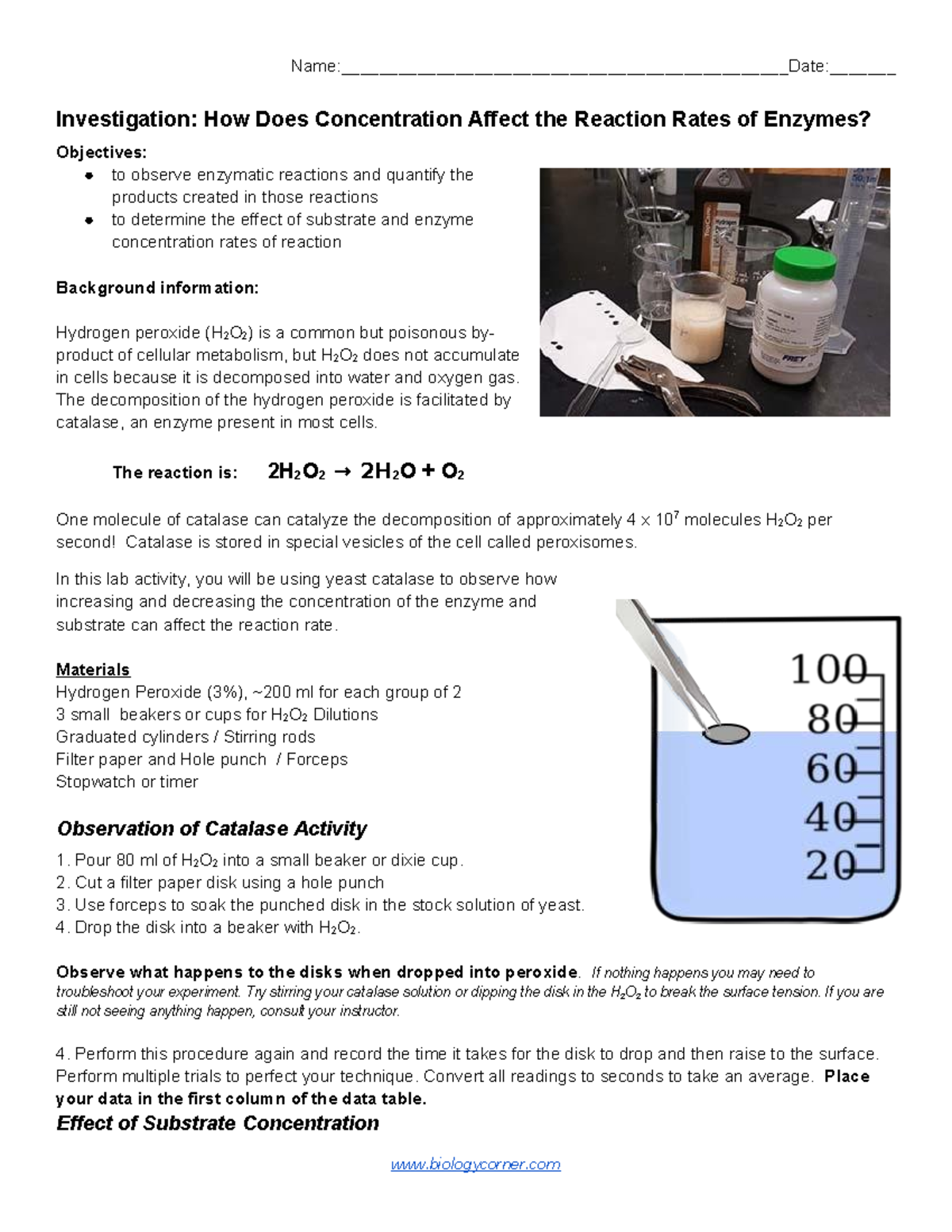AP Bio Lab: Investigating Enzyme Reaction Rates with Catalase - Studocu