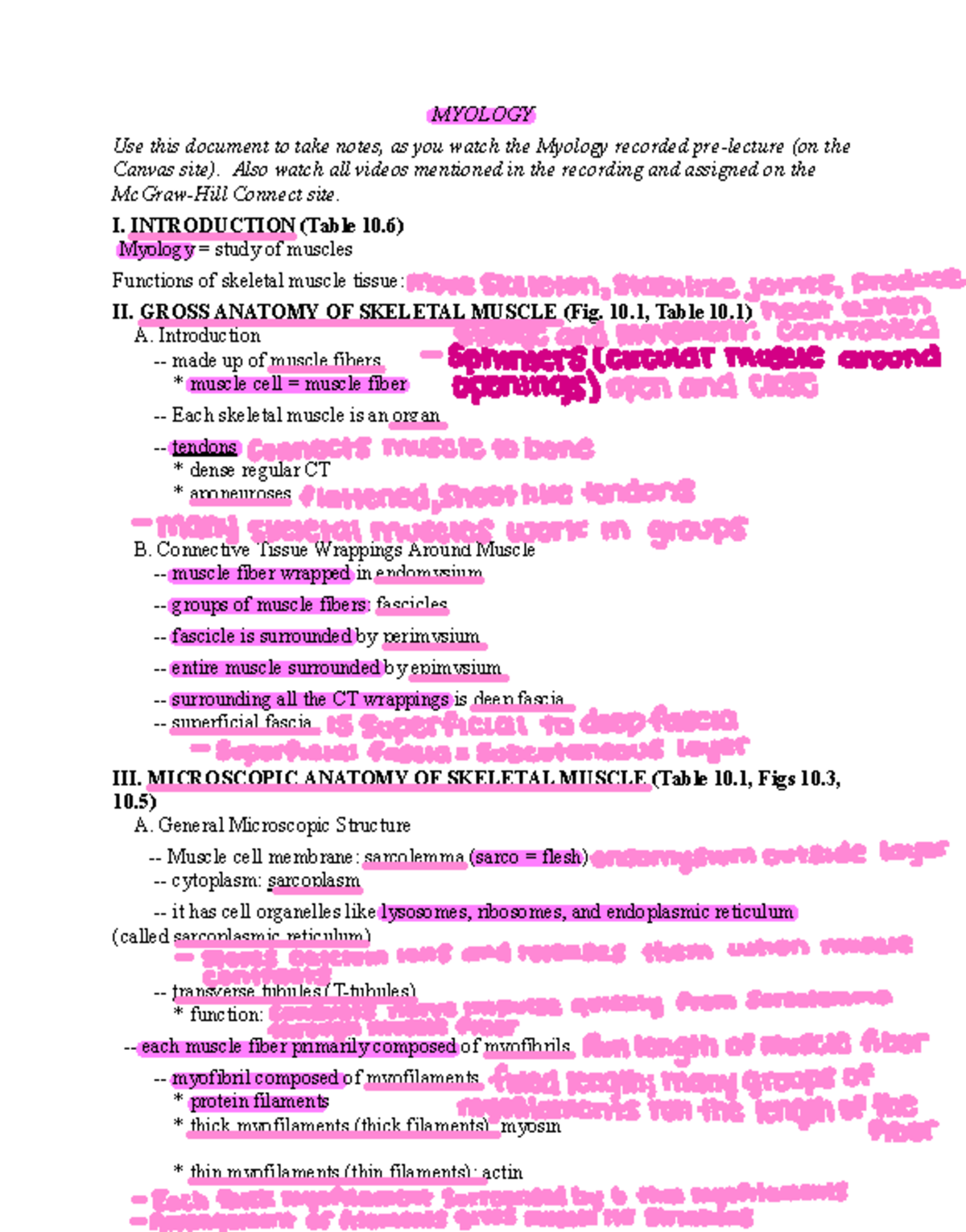 Gross anatomy of skeletal muscle - MYOLOGY Use this document to take ...