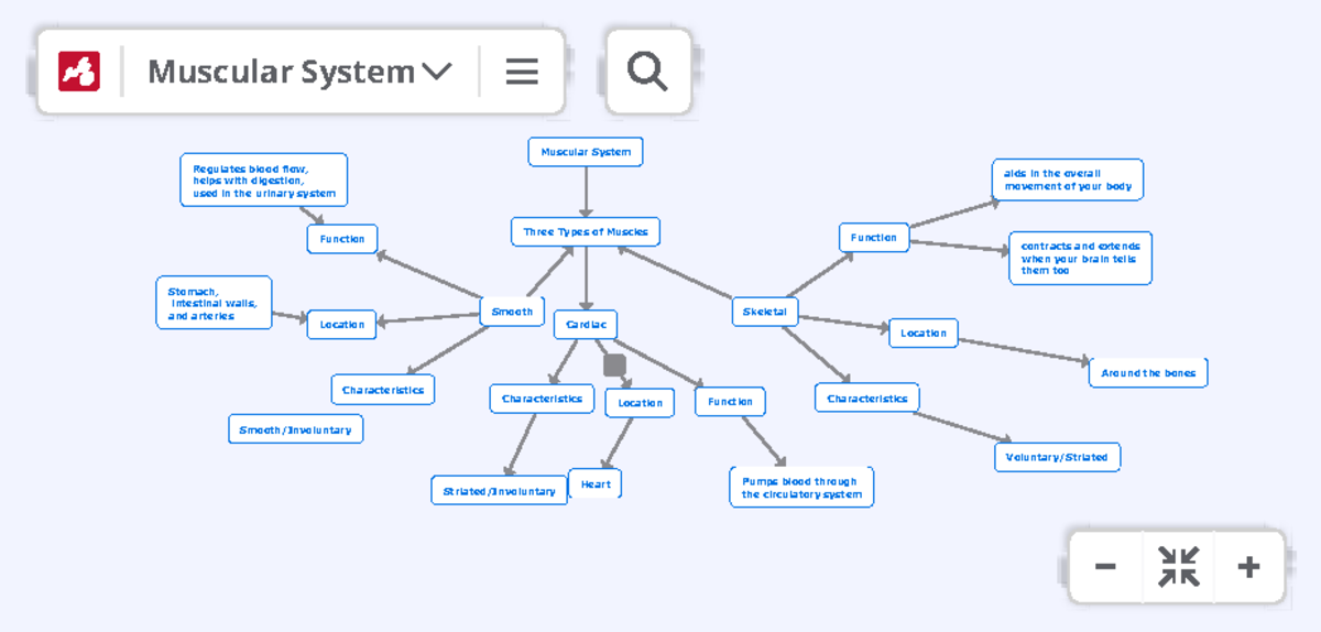 Muscular System - Concept Map - Muscular System Three Types of Muscles ...