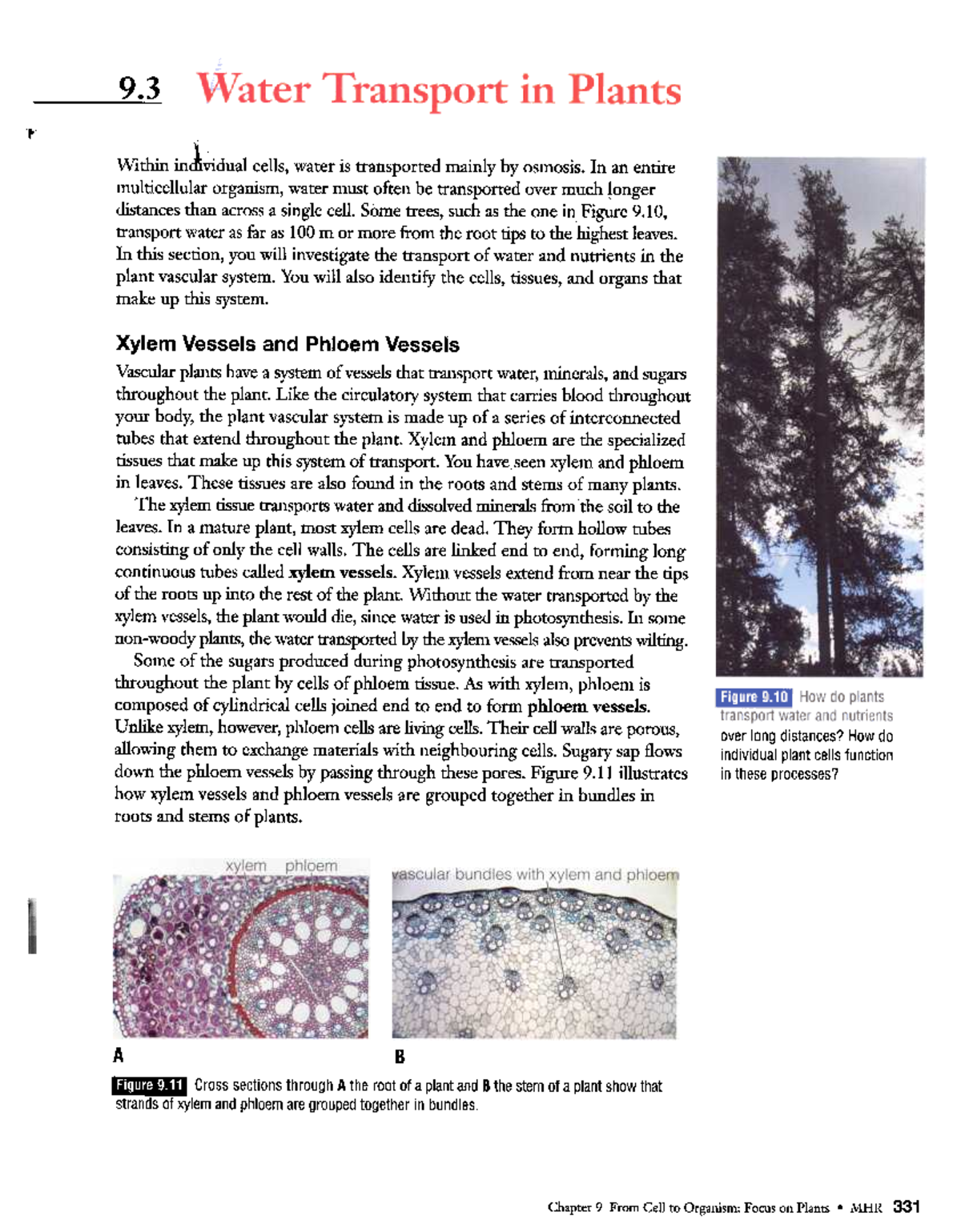 Chapter 9: Water & Nutrient Transport in Plants - Unit 3 Summary - Studocu