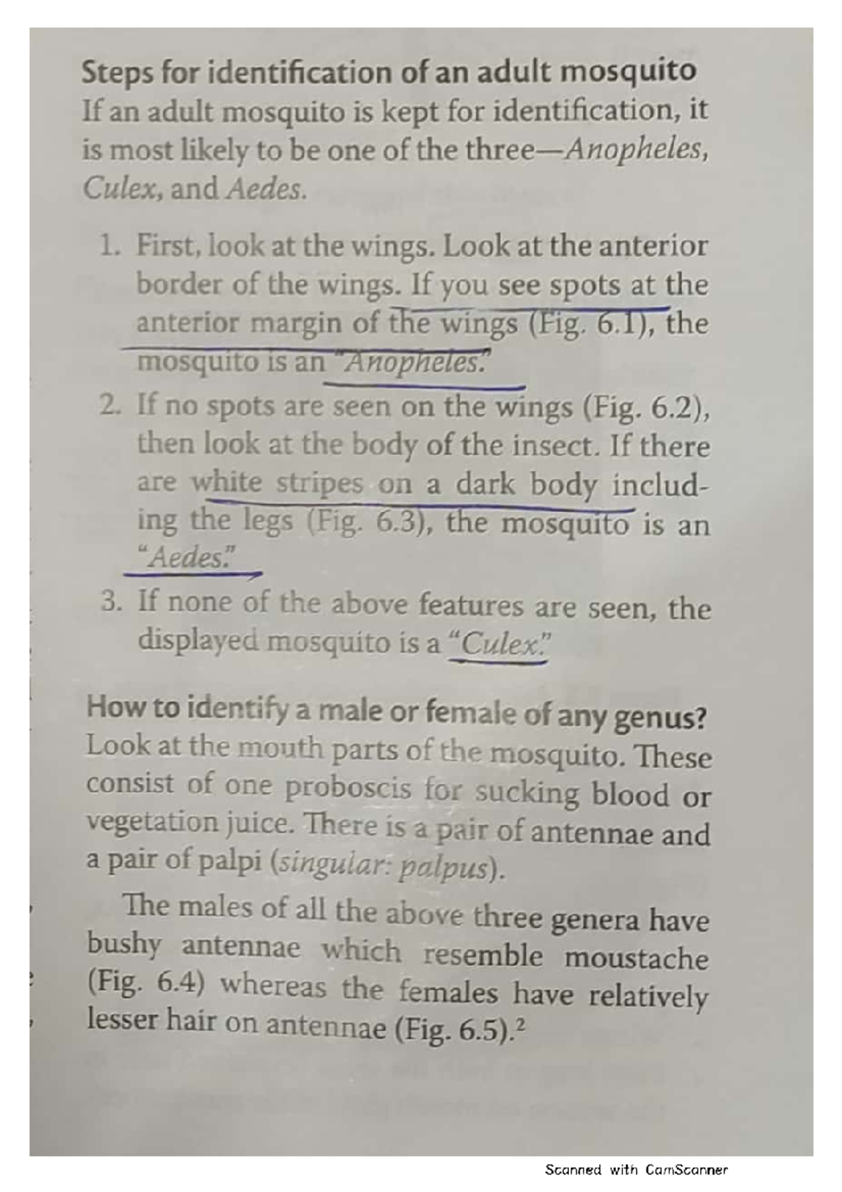 Identification Steps for Adult Mosquitoes: PSM Practical-2 SSG - Studocu