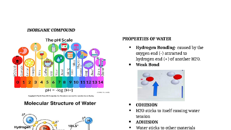 Inorganic Compound Properties of Water: Cohesion & Adhesion - Studocu
