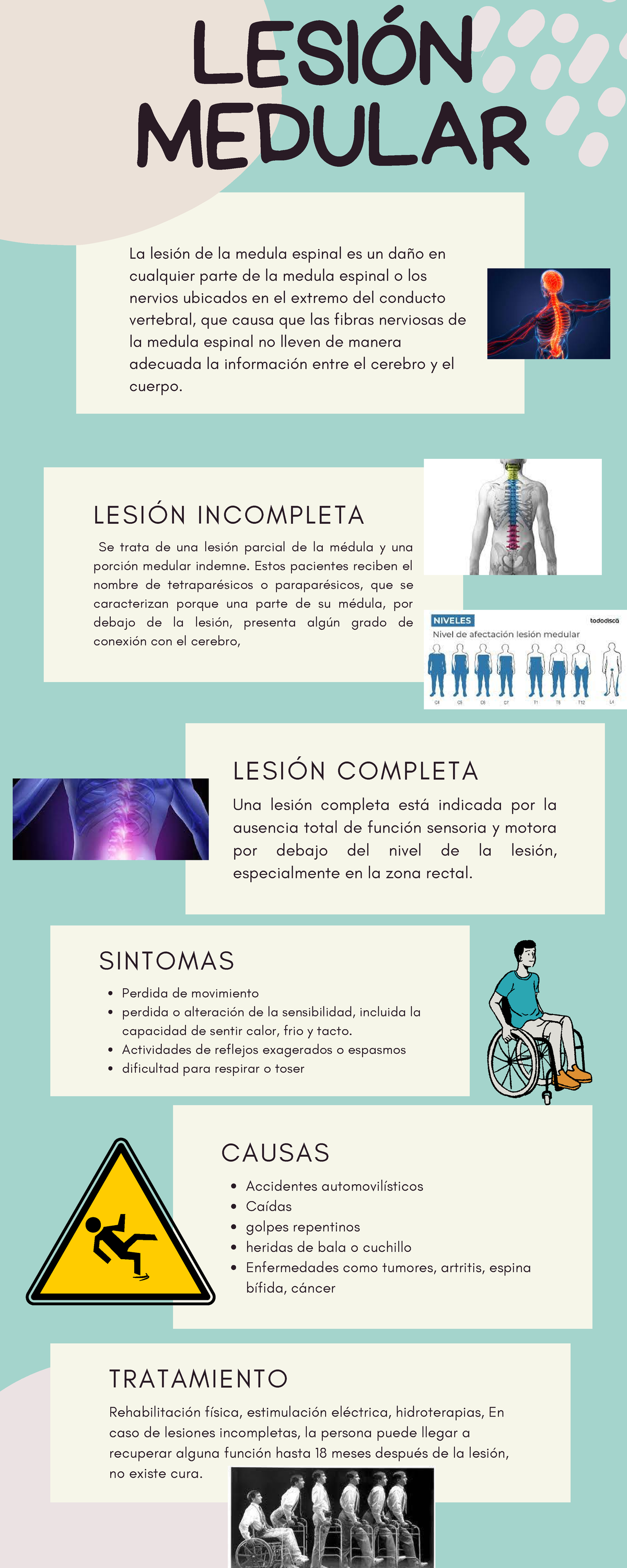 Infografía-Lesión-medular - La lesión de la medula espinal es un daño ...